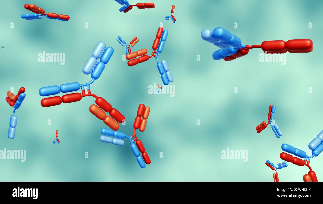 Bispecific antibody structure hi-res stock photography and images - Alamy