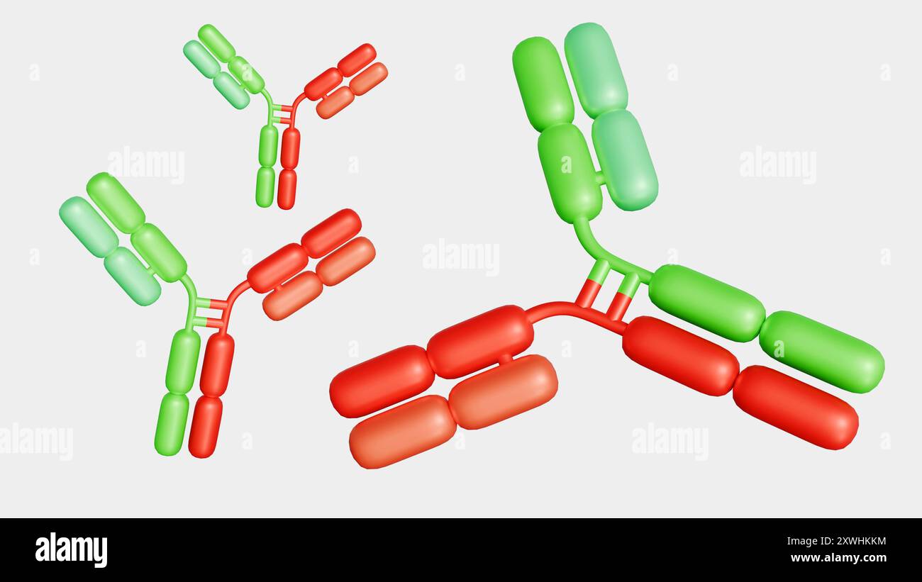 Bispecific antibody structure hi-res stock photography and images - Alamy