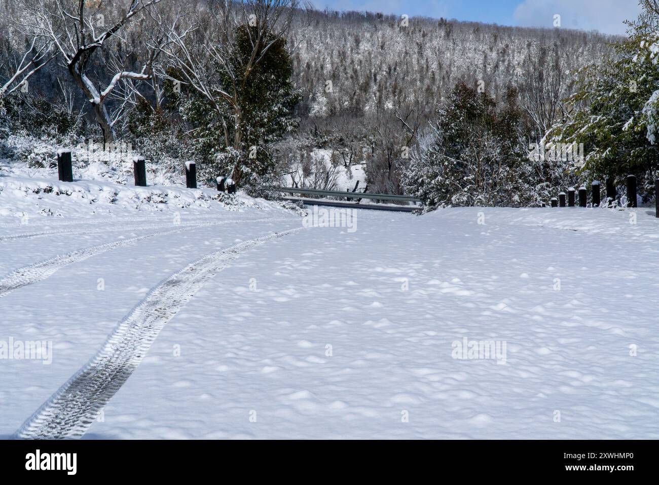 The imprint tyre tread marks in fresh snow leading to Delanys Hut ...