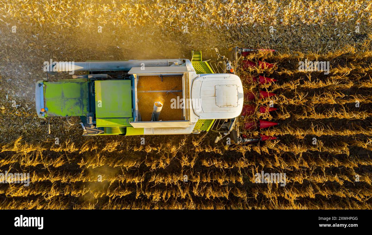 Above top view of agricultural harvester as cutting and harvesting ...