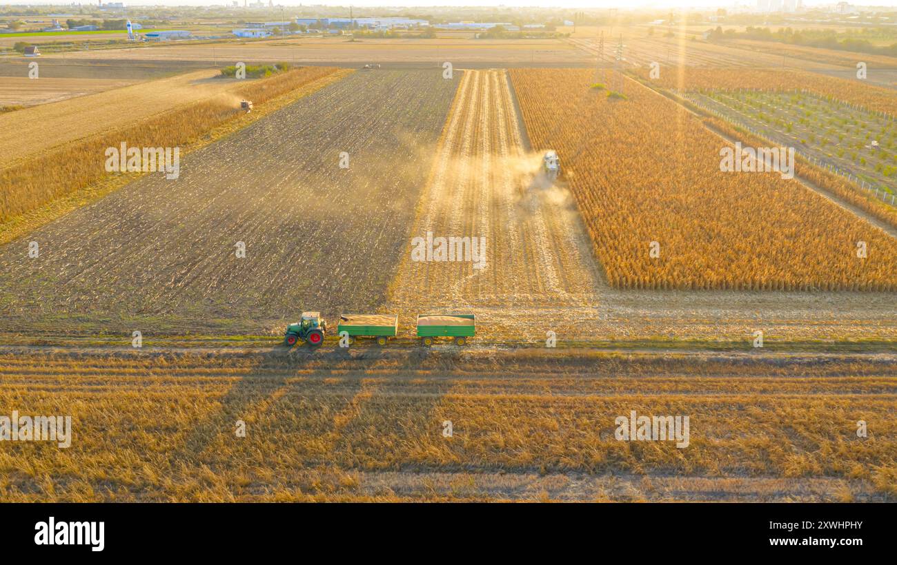 Above view at agricultural harvester is cutting and harvesting mature ...