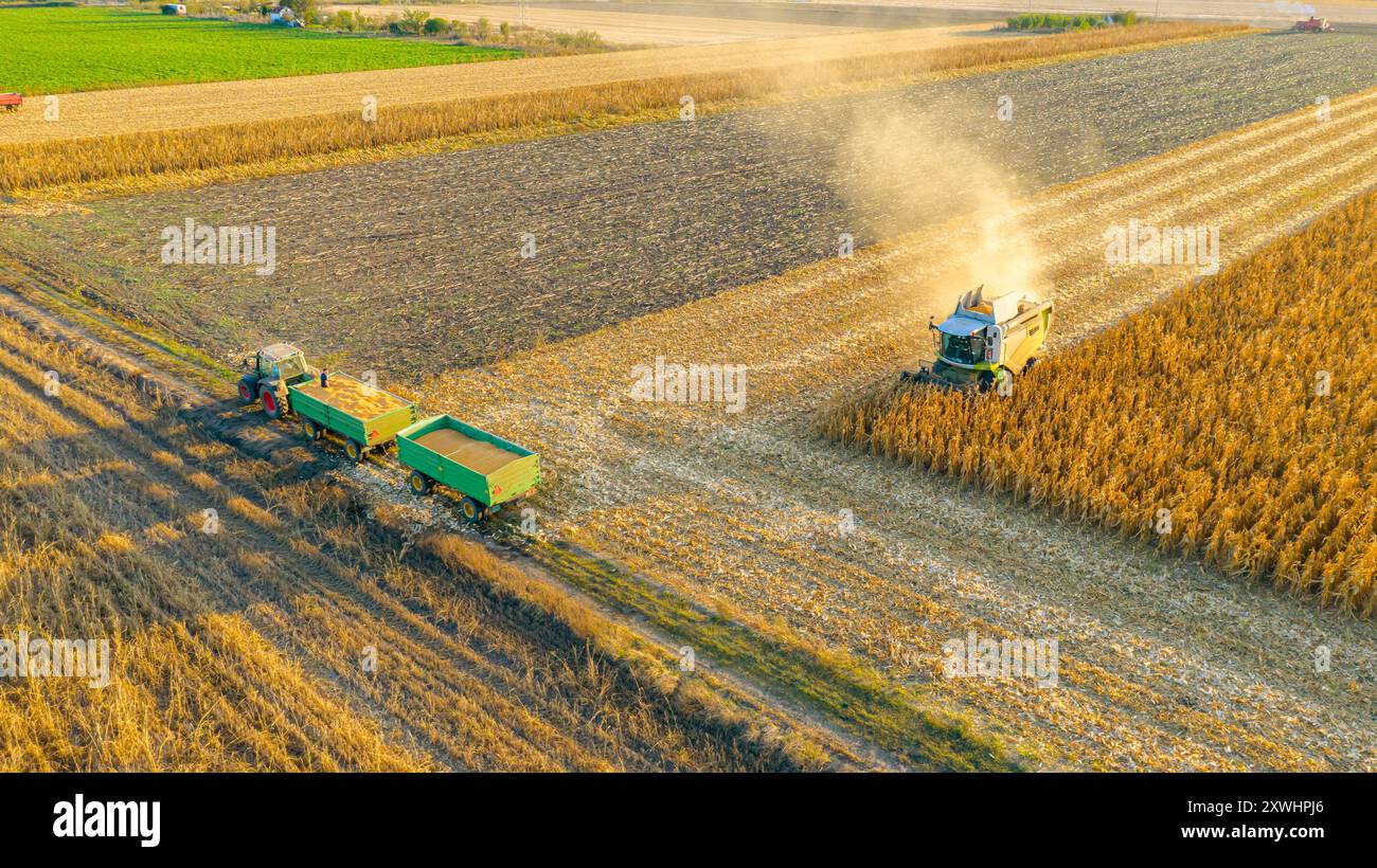 Above view at agricultural harvester is cutting and harvesting mature ...