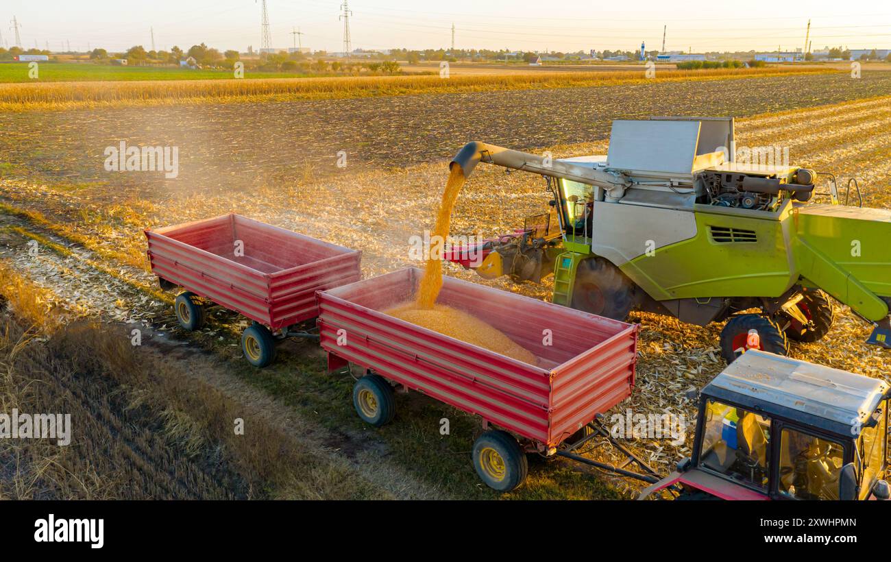 Above view of transshipment from agricultural harvester, combine to the ...