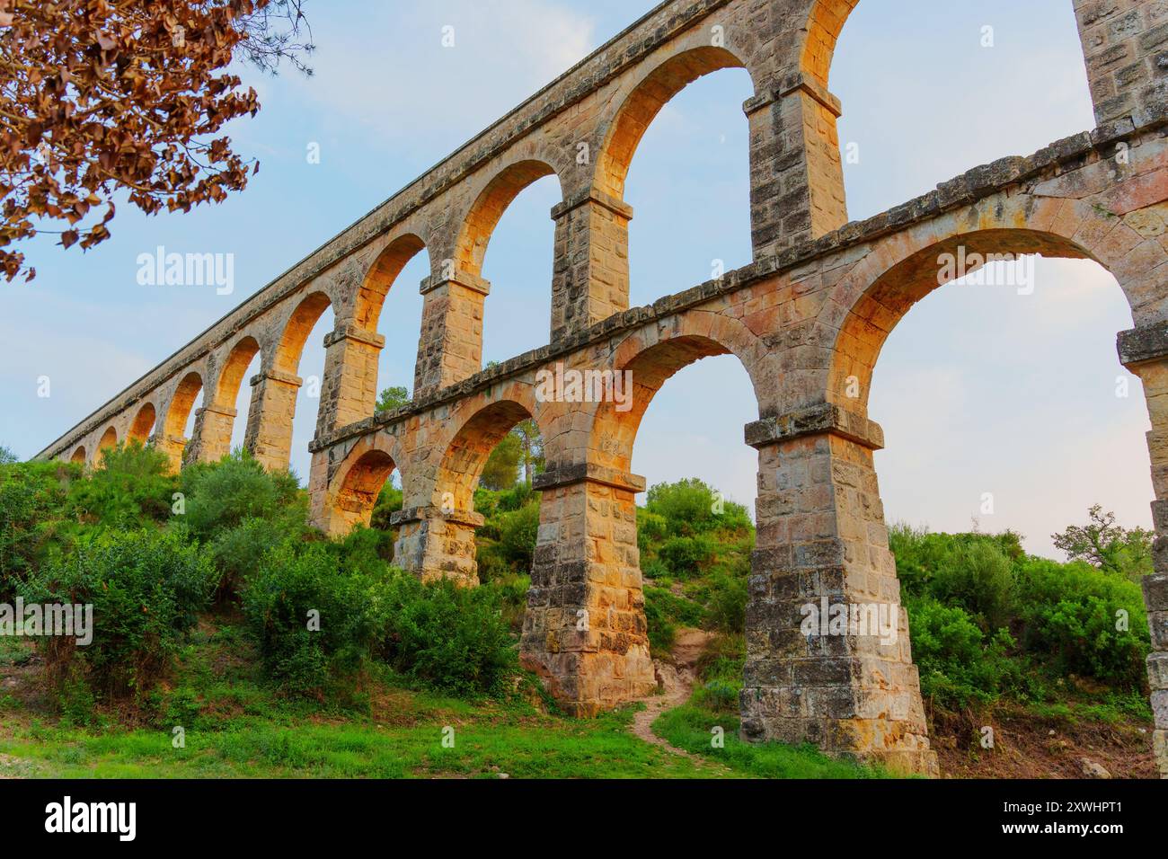 Ancient Devil's Bridge in Tarragona surrounded by lush vegetation at sunset Stock Photo - Alamy