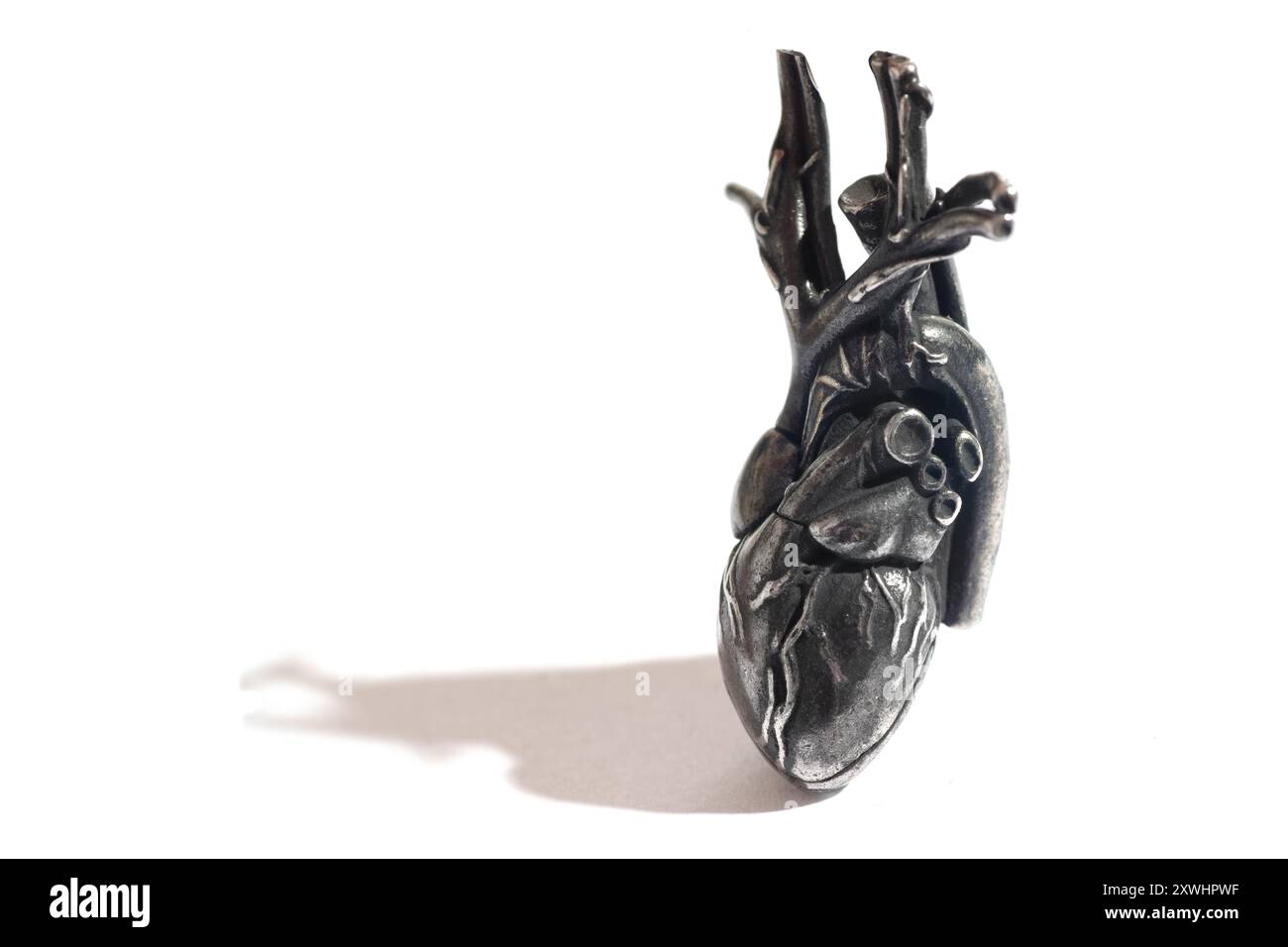 Dark steel model of a human heart depicting detailed anatomical ...