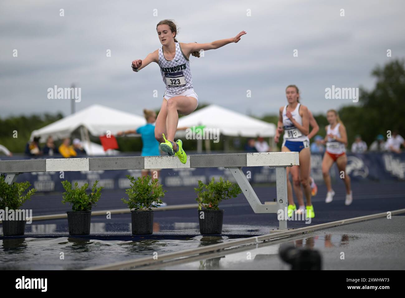 Dartmouth's Katherine Strong (323) during the Women's 3000 meter ...