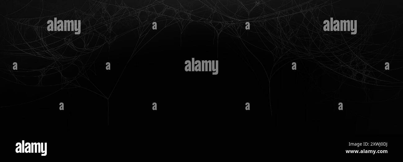 Spider cobweb border on black background. Realistic vector illustration ...
