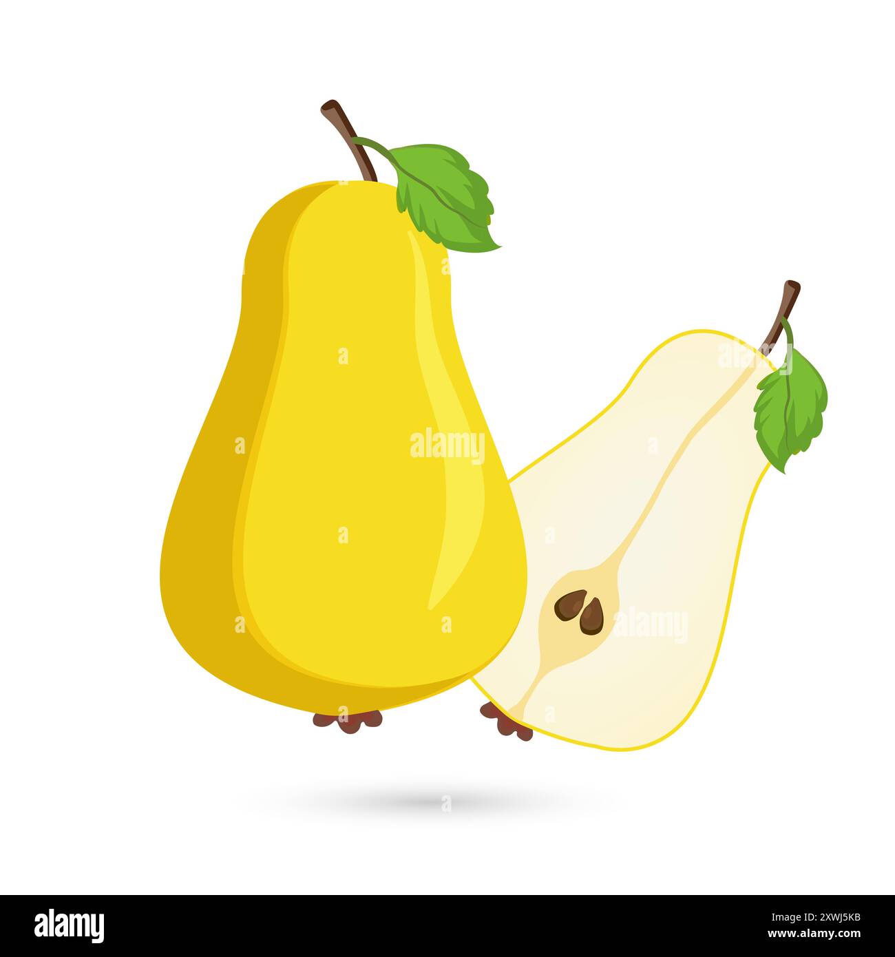 Vector ripe pear and its pieces. Two pieces sliced of yellow pear fruit ...
