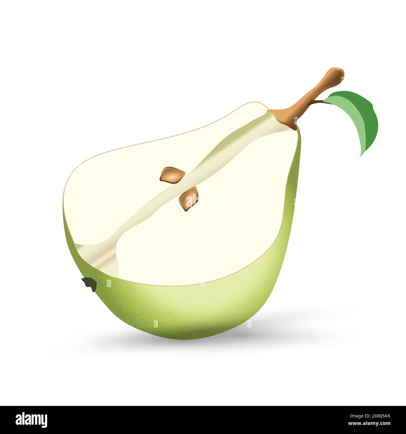 A Realistic green half of pear fruit concept, pear half isolated on the ...