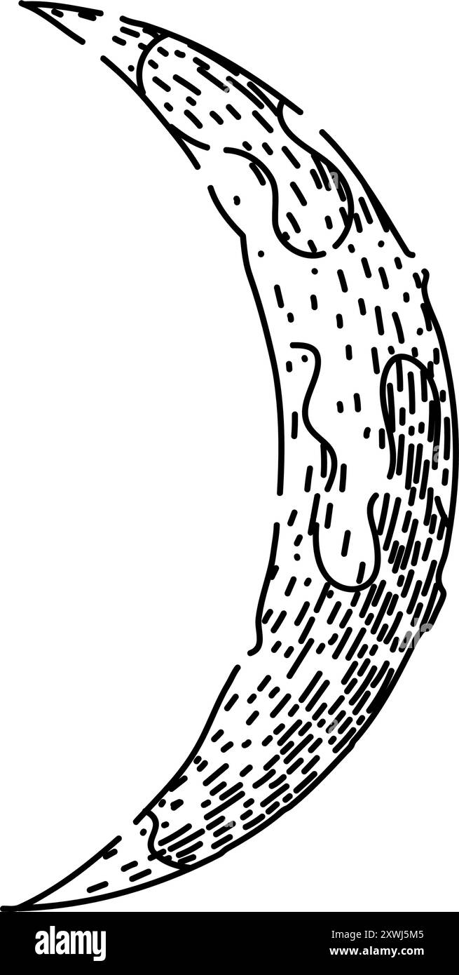 phases moon sketch hand drawn vector Stock Vector Image & Art - Alamy