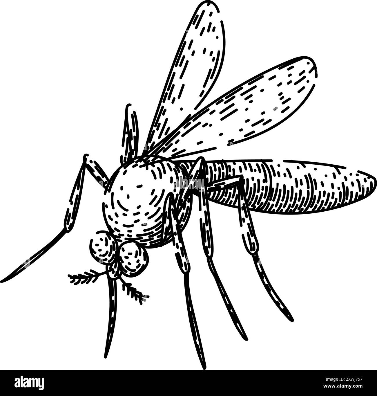 Insect breeding habitat Stock Vector Images - Alamy