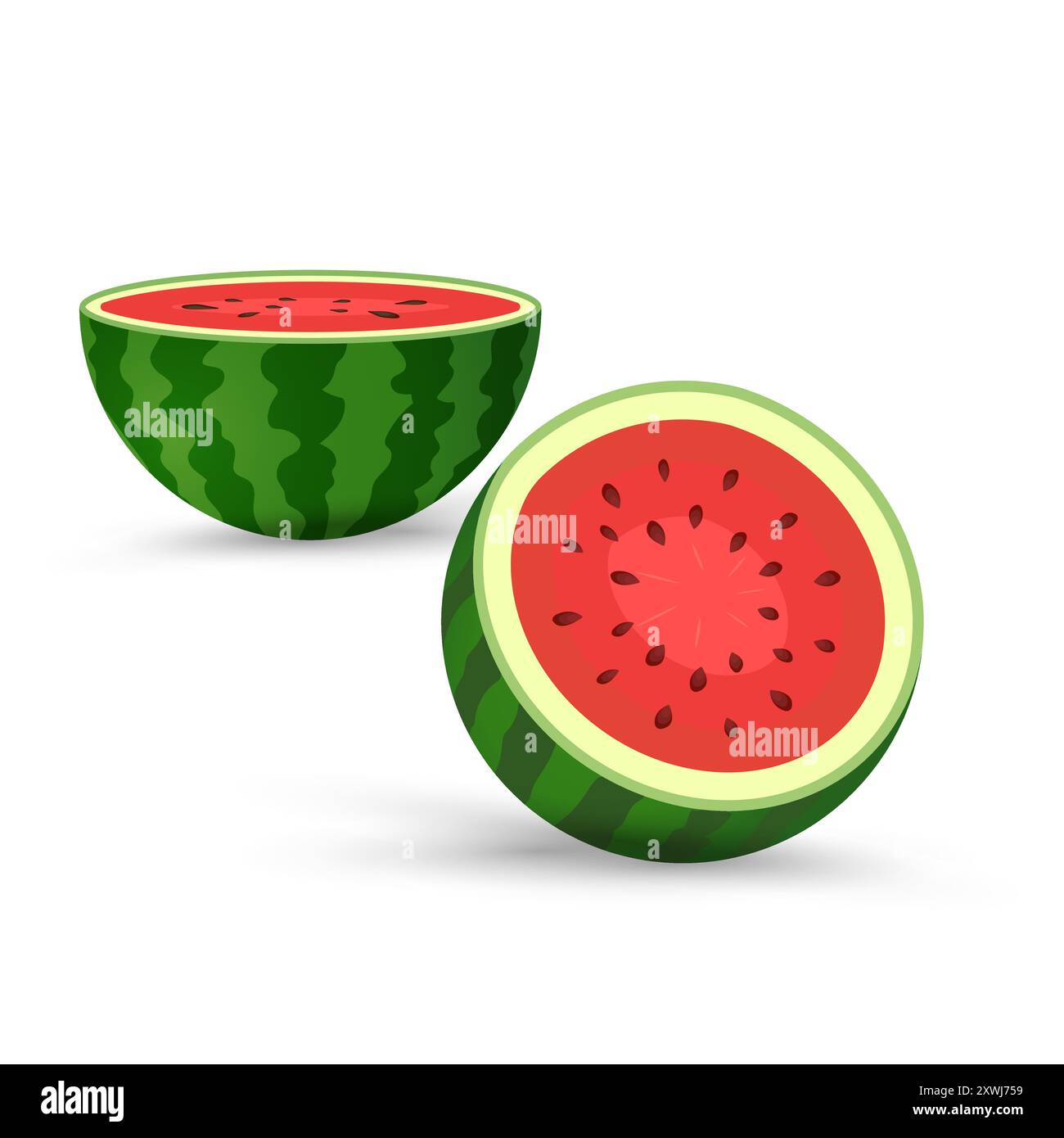 Two cut parts of watermelon, clipart, vector, cartoon fresh green ...