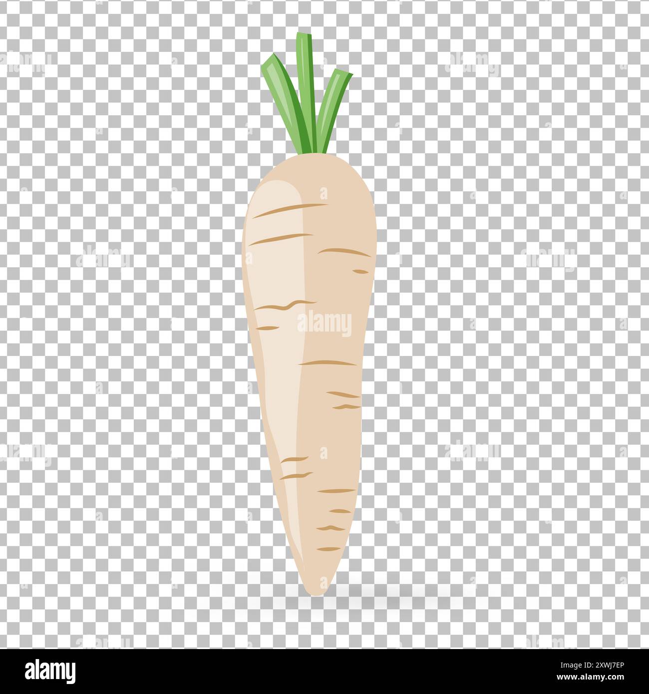 A white carrots icon isolated on white background vector illustration ...