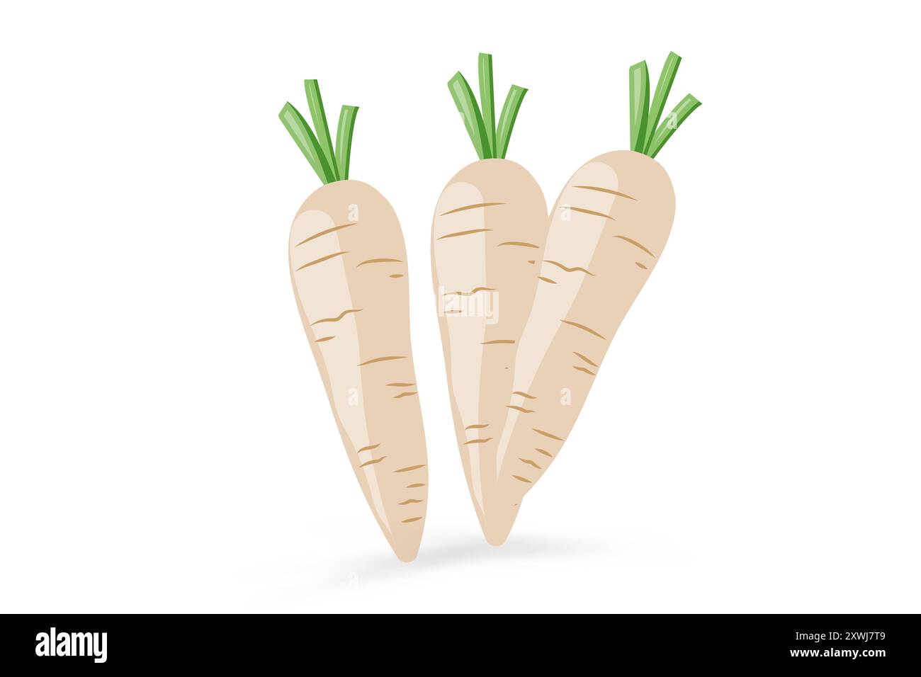 Group of three white carrots icon isolated on white background, vector ...