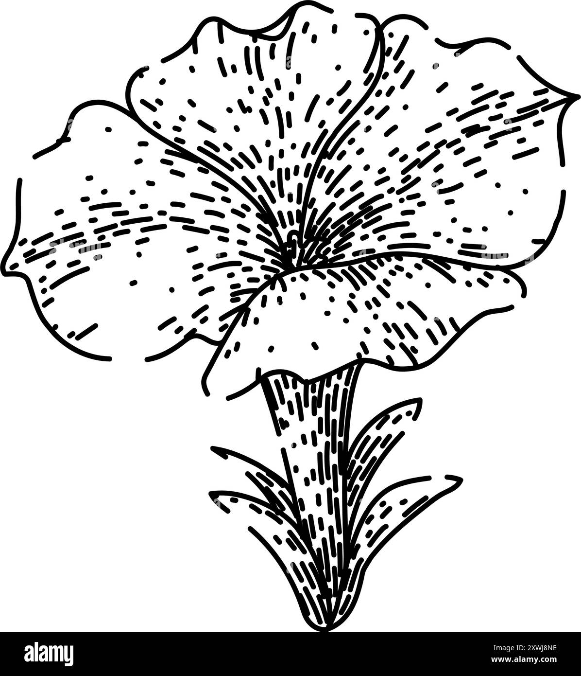 flowers petunia sketch hand drawn vector Stock Vector Image & Art - Alamy