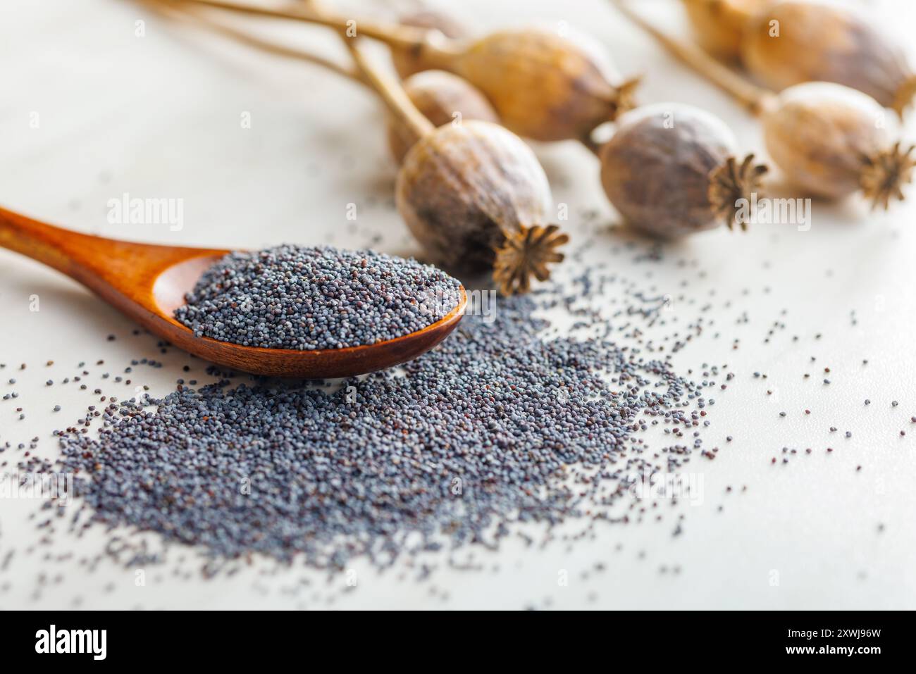 Dry poppy head and poppy seed in spoon on a kitchen table Stock Photo ...
