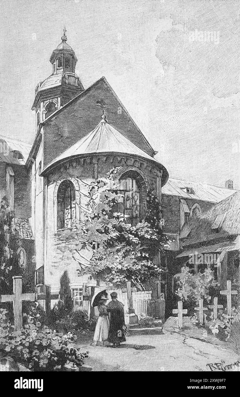 The 1000-year-old rose bush at the cathedral of Hildesheim, around 1880 ...