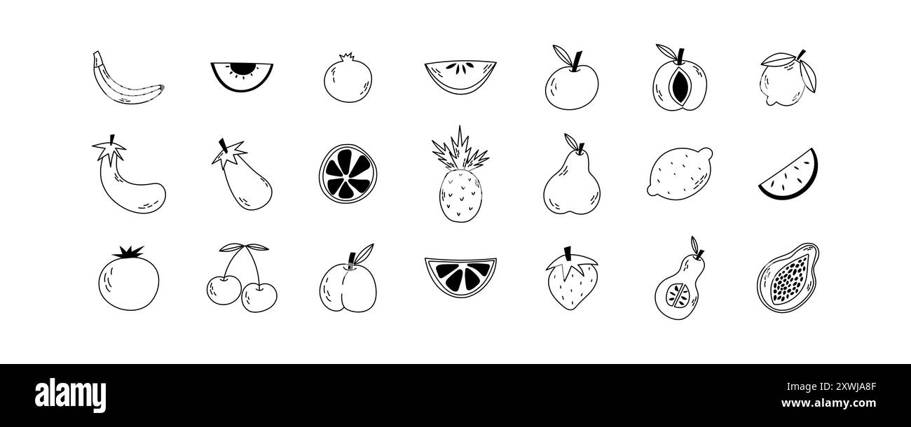 Illustration of tropical fruits hand drawn sketch Stock Vector Image ...
