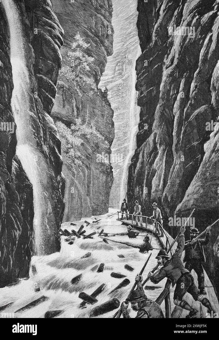 Log rafters navigate through a narrow, rocky gorge with waterfalls, Log ...