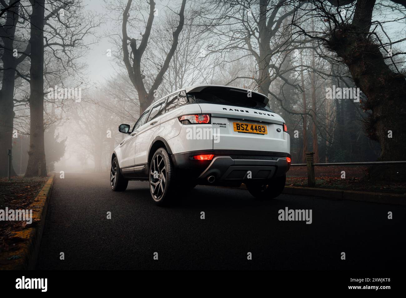 Range Rover Evoque - Forest Shoot Stock Photo - Alamy
