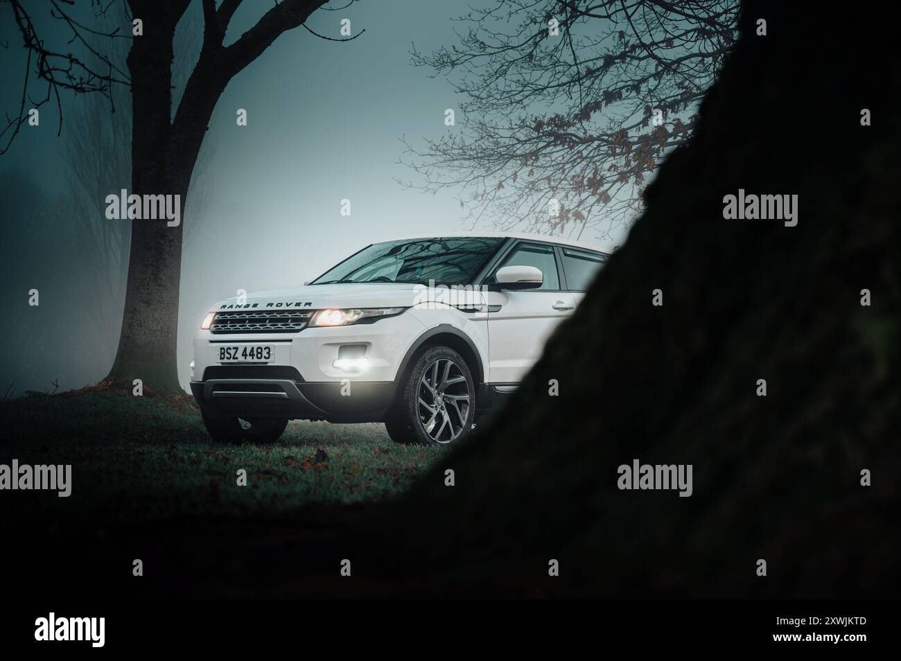 Range Rover Evoque - Forest Shoot Stock Photo - Alamy