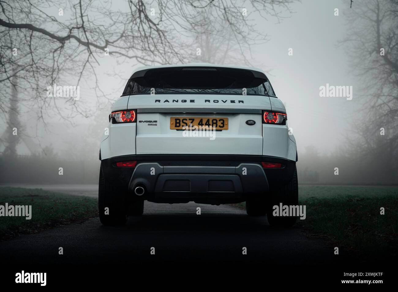 Range Rover Evoque - Forest Shoot Stock Photo - Alamy