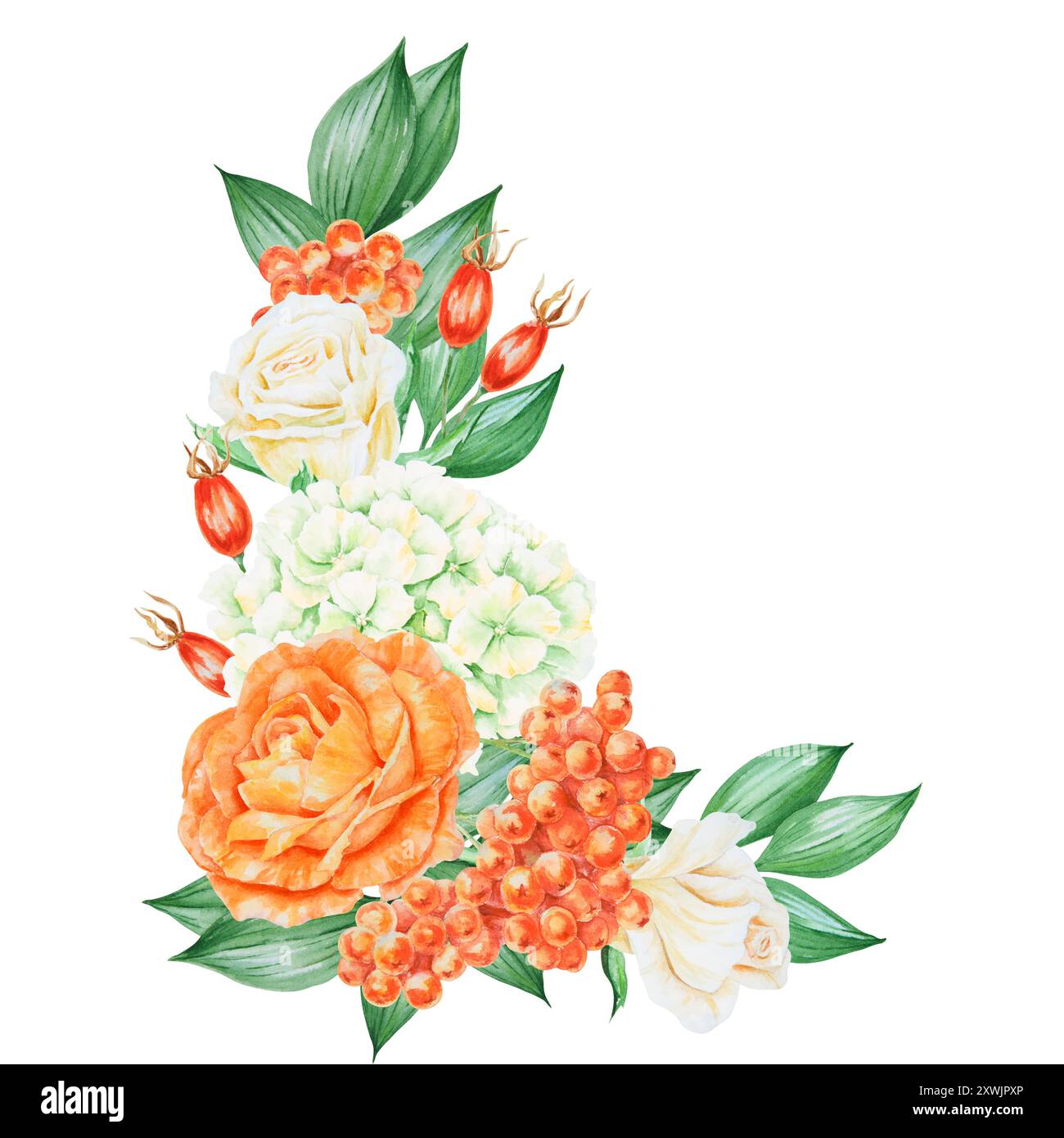 Orange and white roses, hydrangea, rowan berries and rose hips. Hand ...