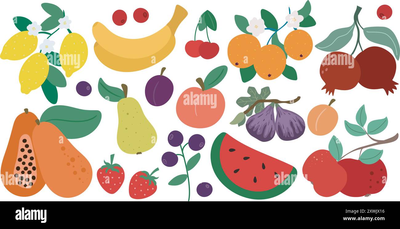 Simple set of different fruits and berries Stock Vector Image & Art - Alamy