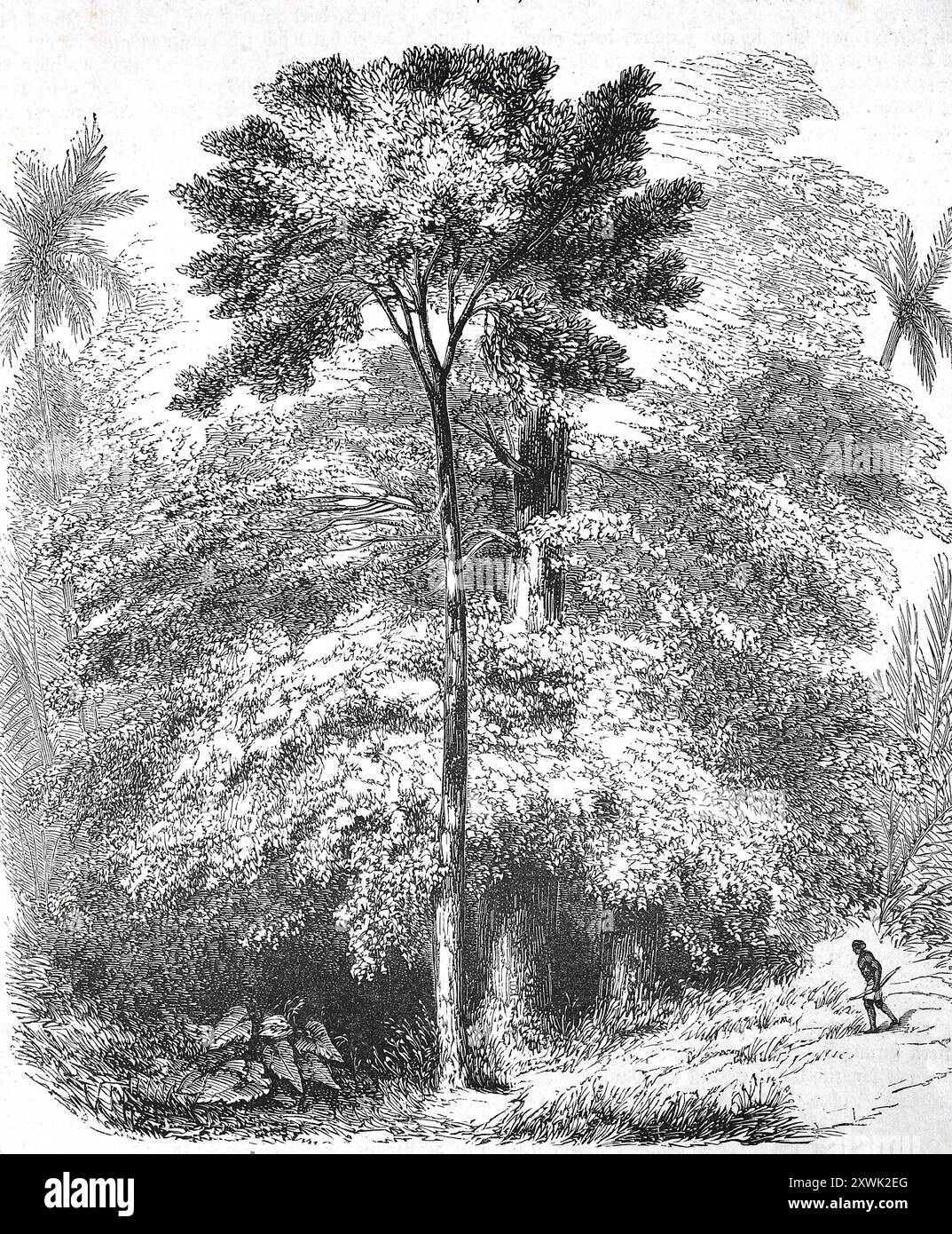 Historical, digitally restored reproduction from an original from the ...