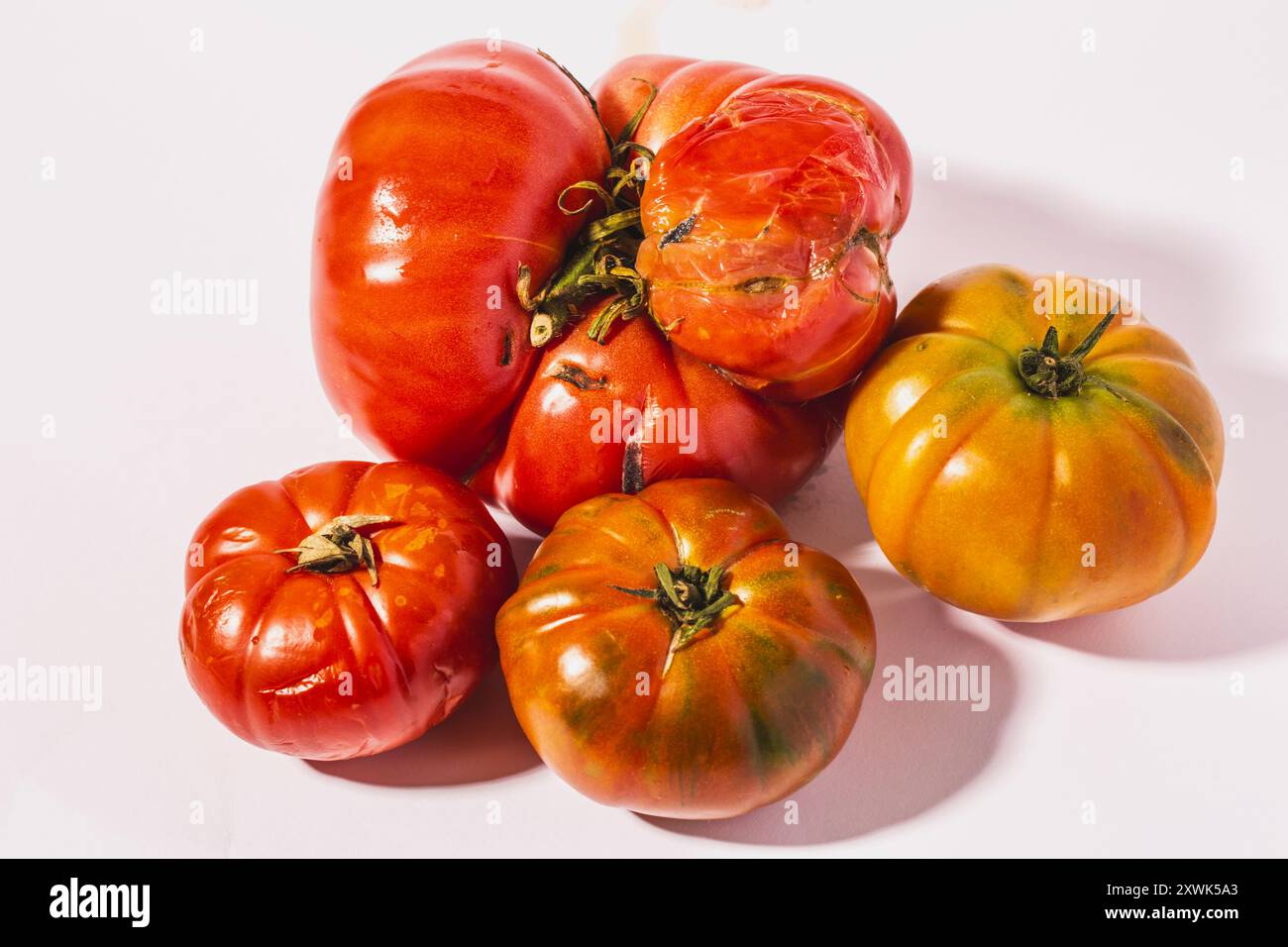 Spanish Raf Tomatoes Stock Photo - Alamy