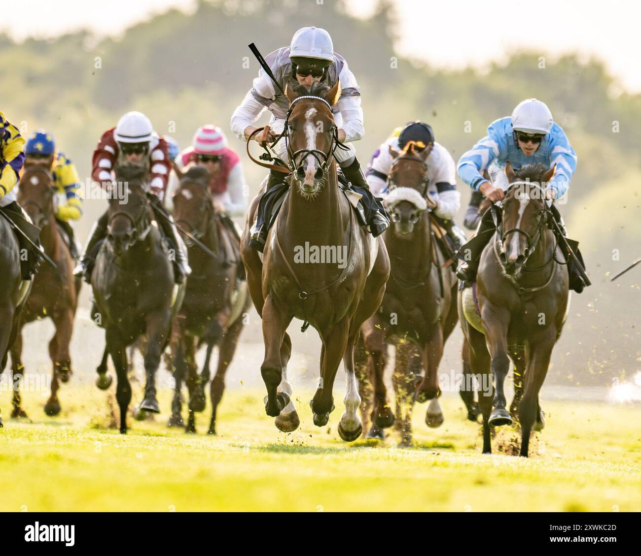 Horse racing at Royal Windsor Racecourse, UK Stock Photo - Alamy