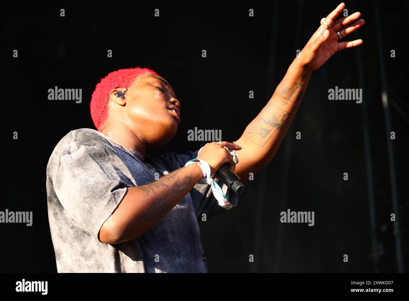 Green Man Festival, Brecon Beacons, Wales, UK. 16th Aug, 2024. Arlo ...