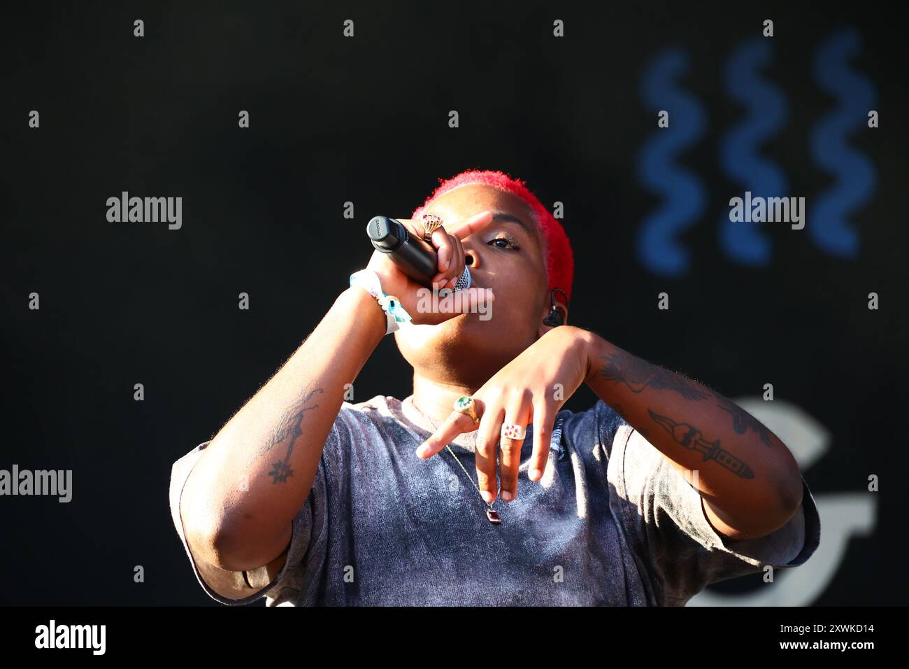 Green Man Festival, Brecon Beacons, Wales, UK. 16th Aug, 2024. Arlo ...