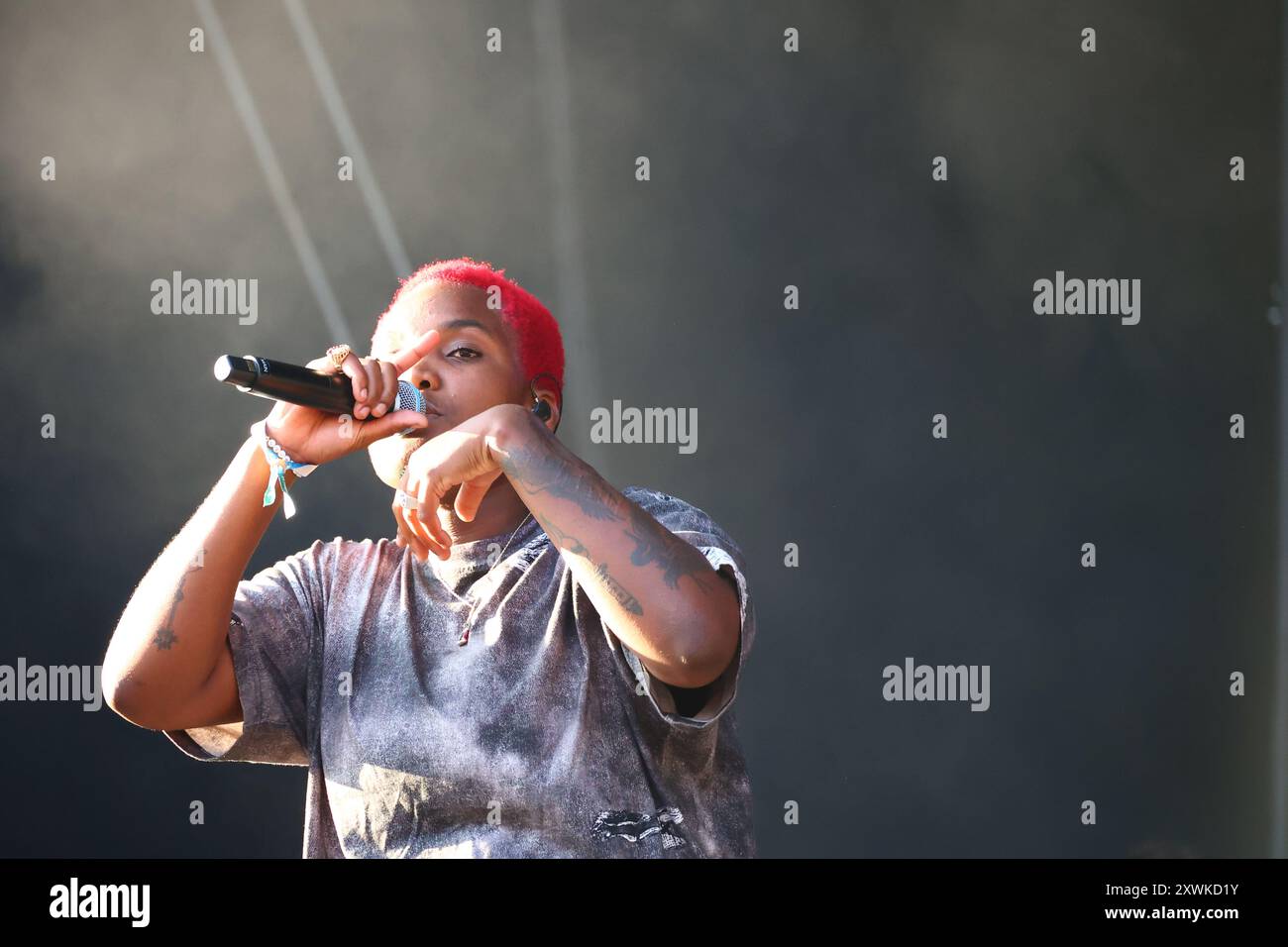Green Man Festival, Brecon Beacons, Wales, UK. 16th Aug, 2024. Arlo ...