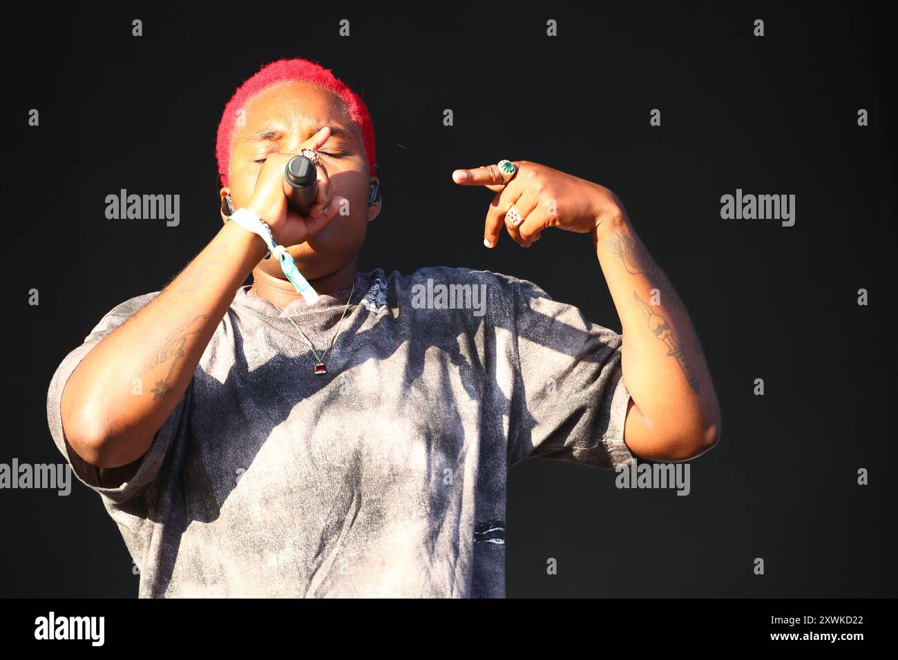 Green Man Festival, Brecon Beacons, Wales, UK. 16th Aug, 2024. Arlo ...