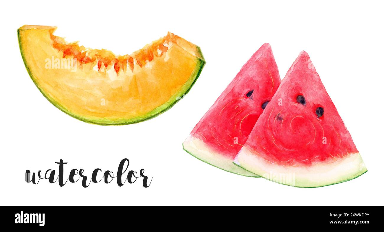 Beautiful Watercolor Renderings of Delicious Melon and Watermelon ...