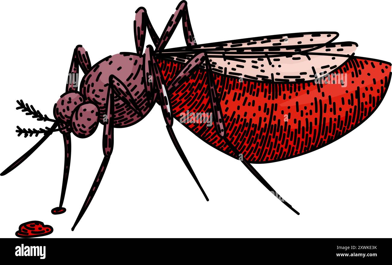 malaria mosquito sketch hand drawn vector Stock Vector Image & Art - Alamy