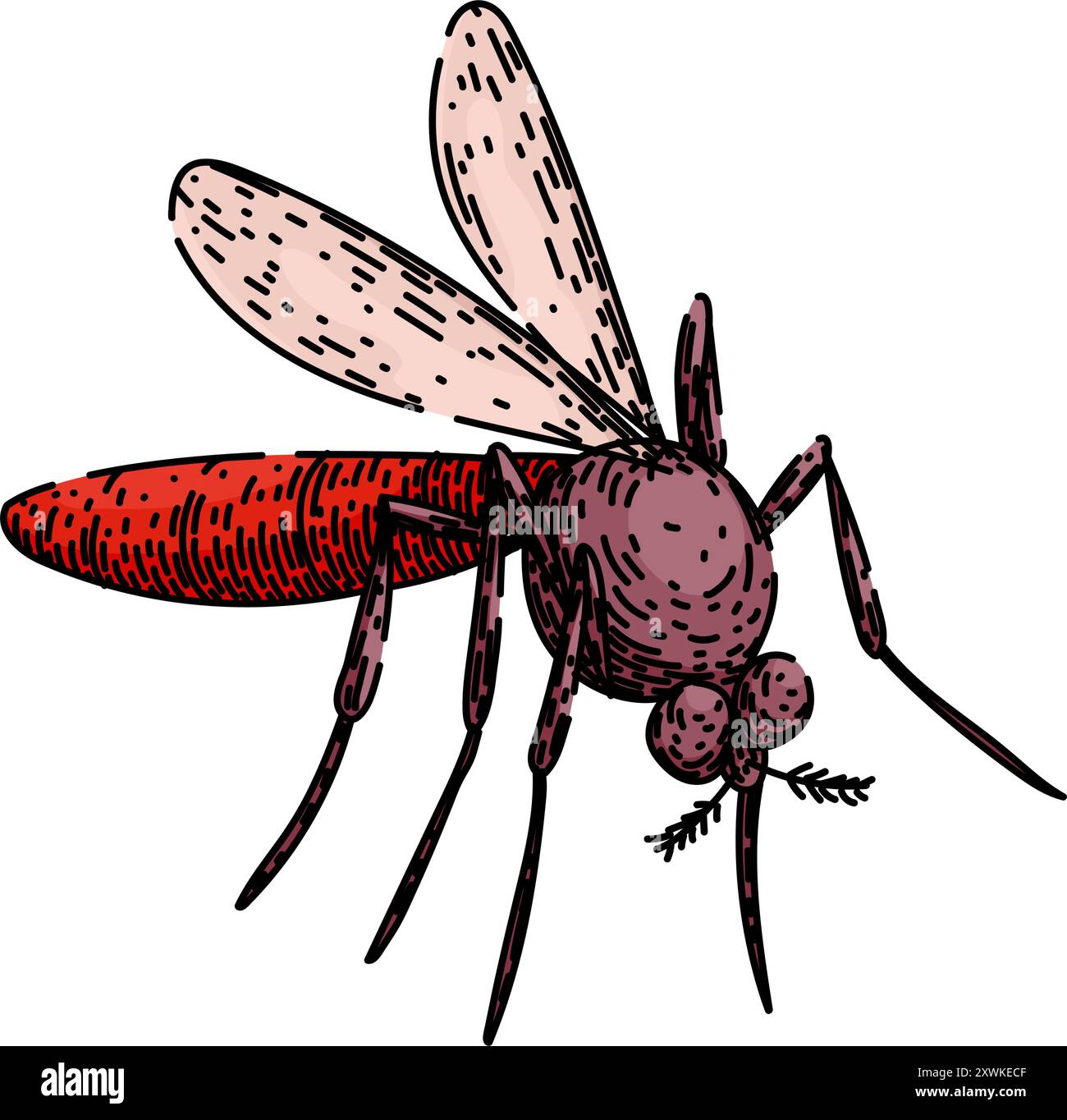 zika mosquito sketch hand drawn vector Stock Vector Image & Art - Alamy