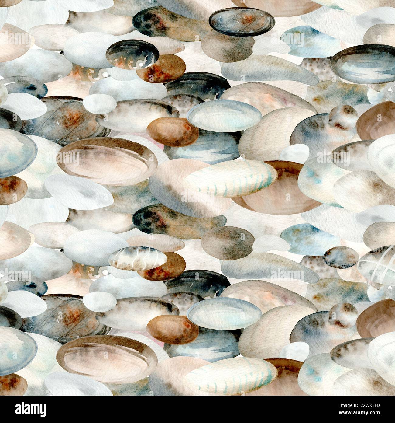 Painting pebbles shell hi-res stock photography and images - Alamy