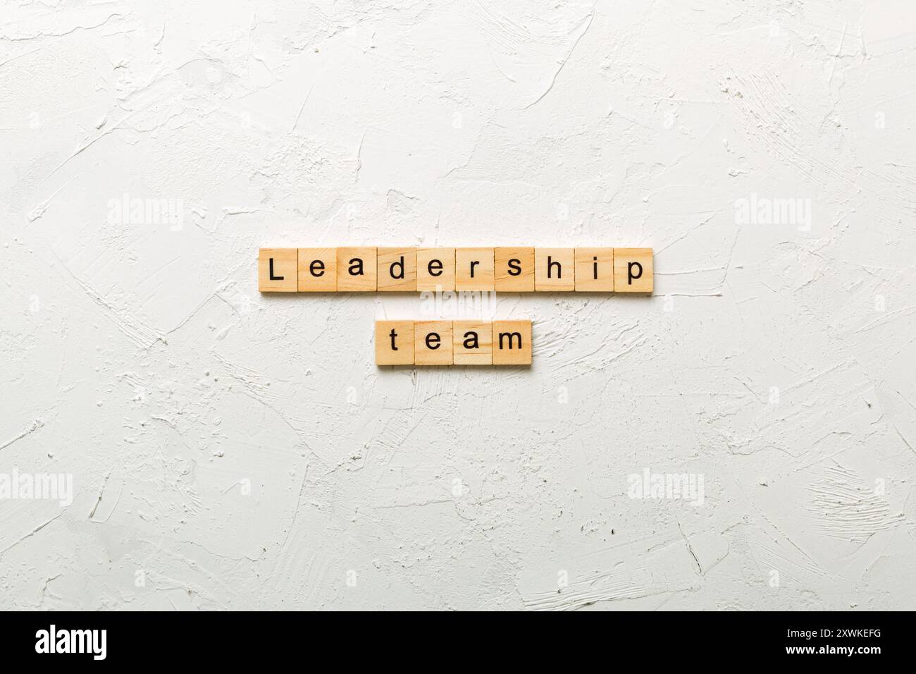 leadership team word written on wood block. leadership team text on ...