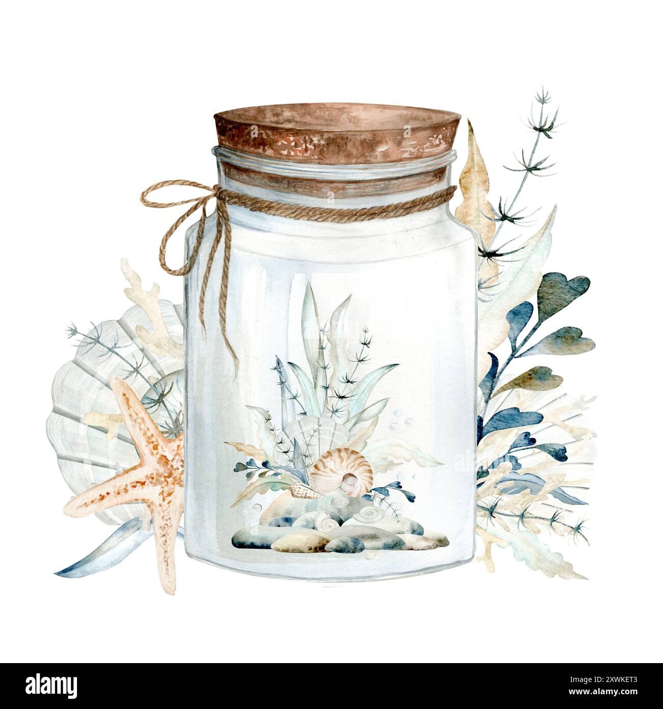 Collection of shells in a glass jar hi-res stock photography and images ...