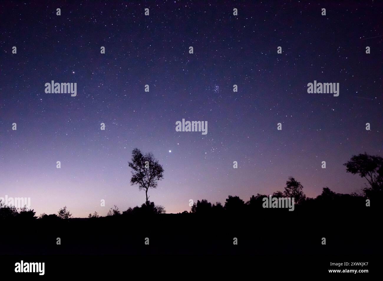 night sky planets and stars, Jupiter just below Mars above right of ...