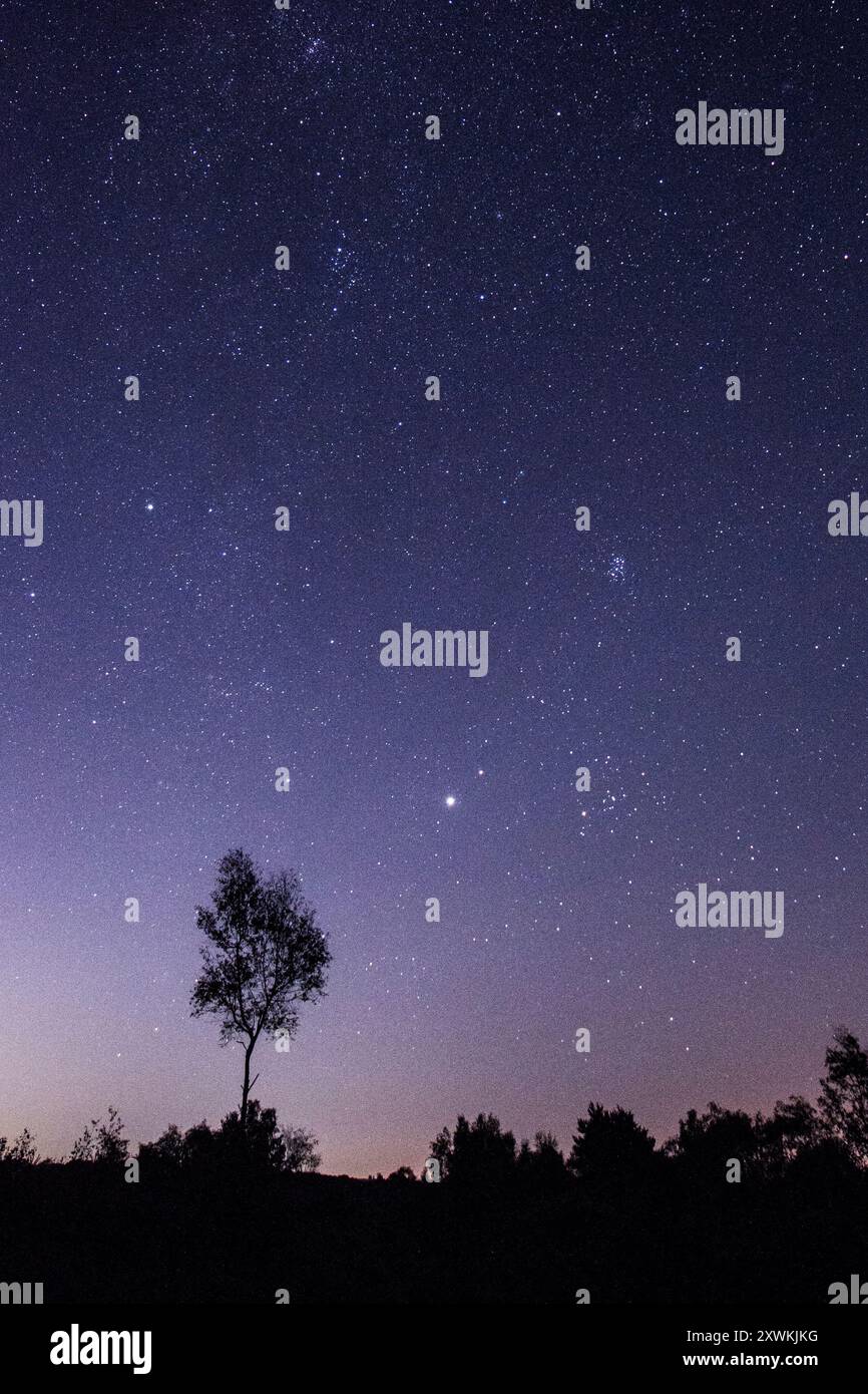 night sky planets and stars, Jupiter just below Mars above right of ...