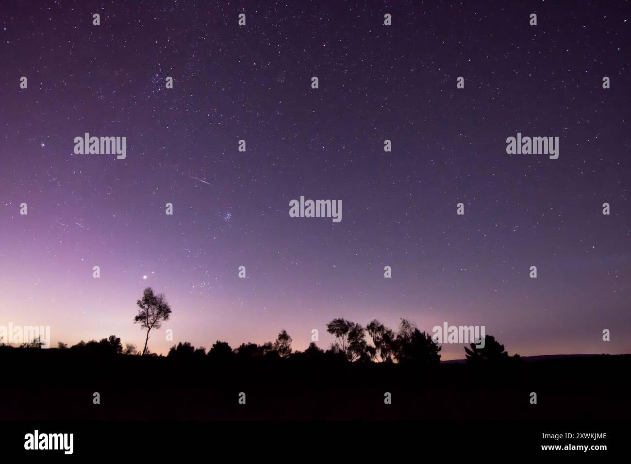 night sky planets stars, with shooting star, Jupiter just below Mars ...