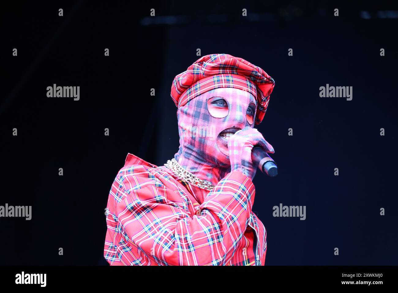 Green Man Festival, Brecon Beacons, Wales, UK. 17th Aug, 2024. Lynks at ...