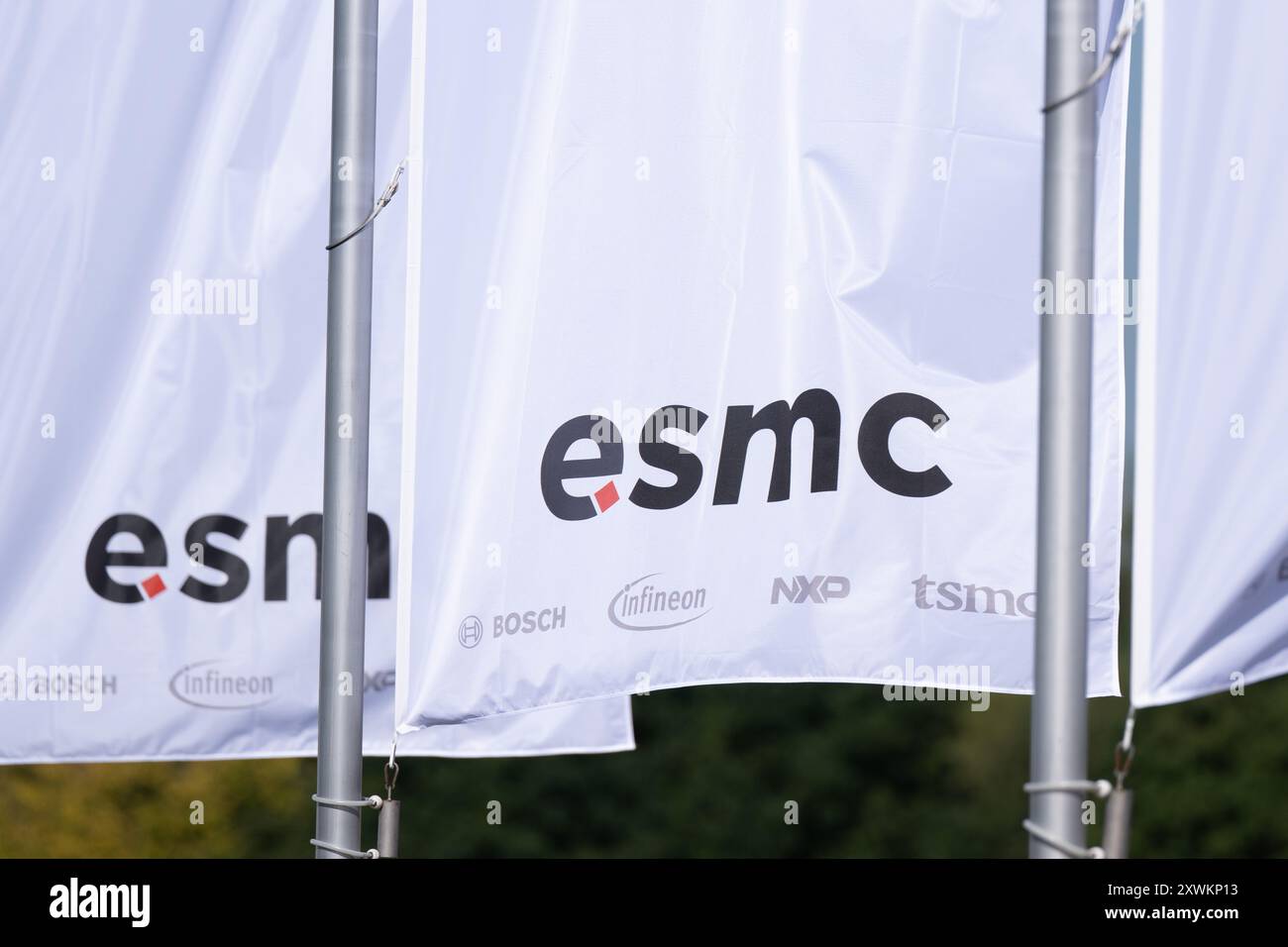 Dresden, Germany. 20th Aug, 2024. Flags with the ESMC logo fly at a ...