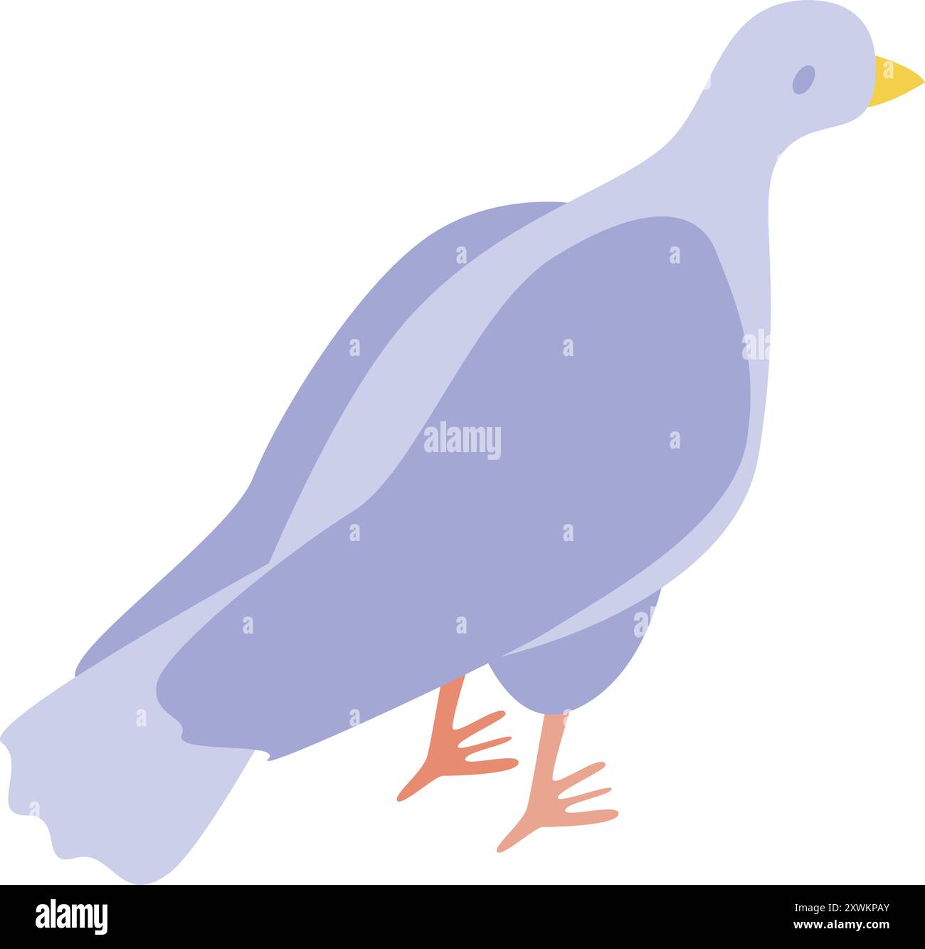 Blue dove standing isometric style Stock Vector Image & Art - Alamy