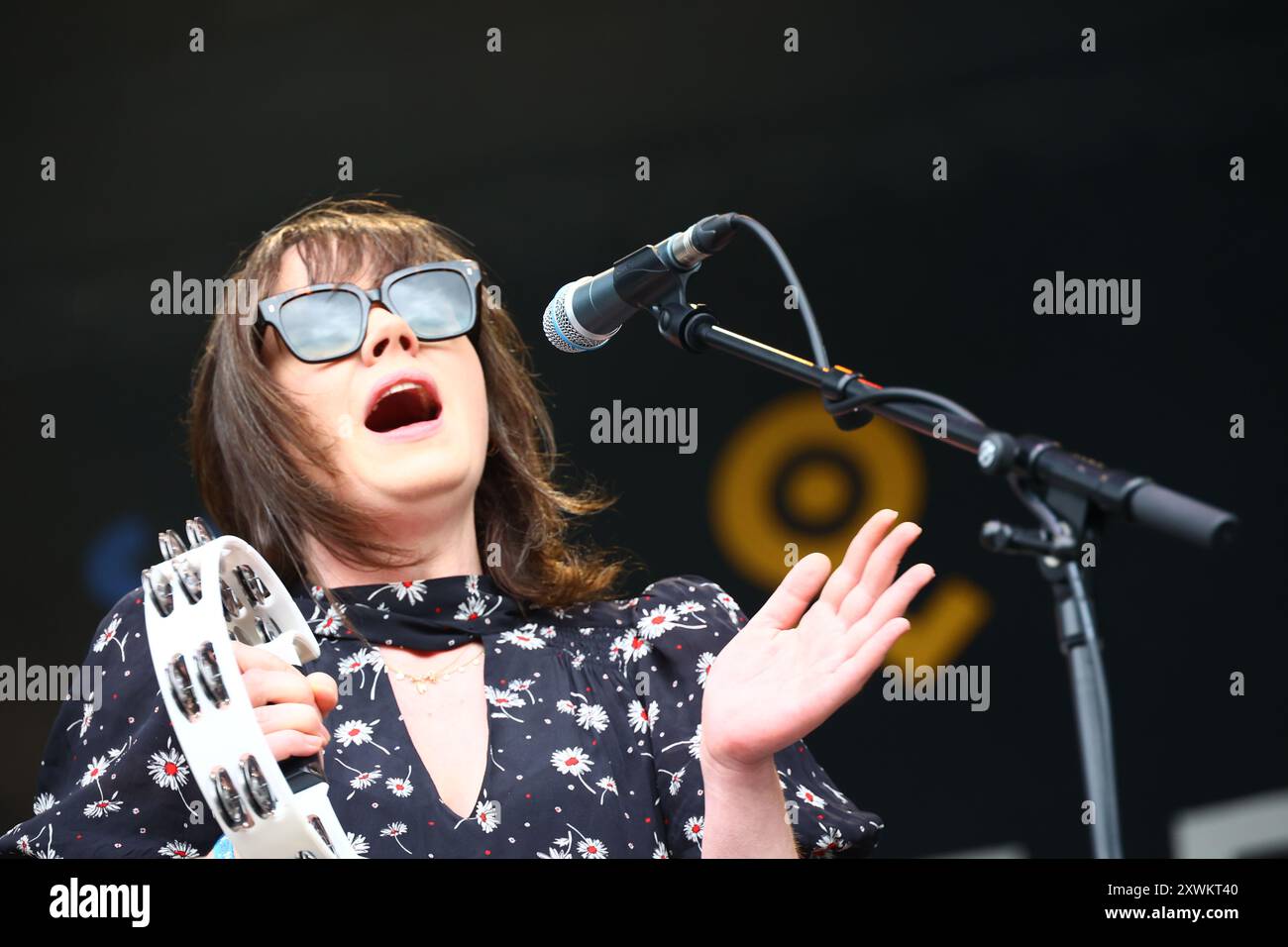 Green Man Festival, Brecon Beacons, Wales, UK. 17th Aug, 2024. The ...