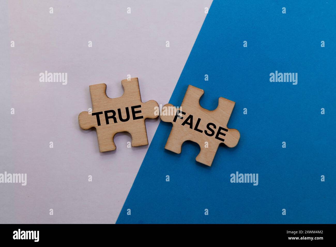 Wooden puzzle pieces with "True" and "False" written on them, placed on ...