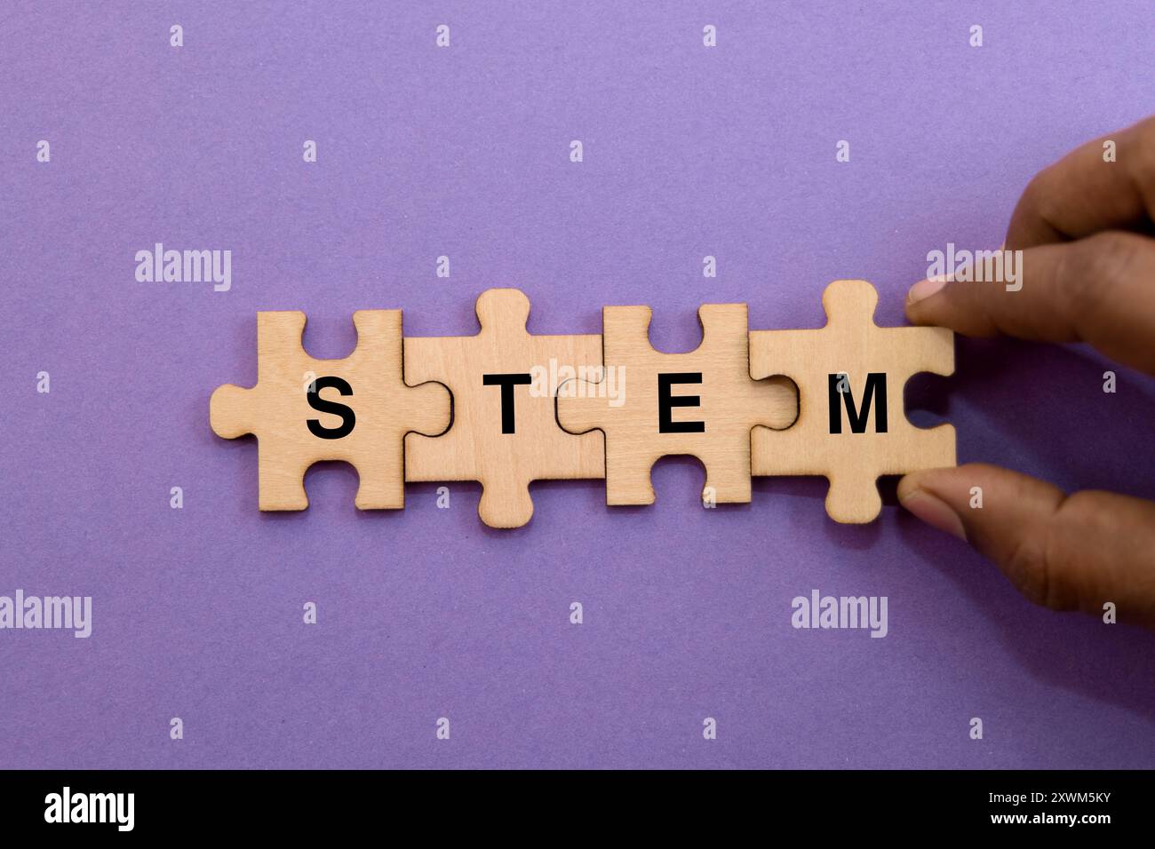 Wooden puzzle pieces with STEM acronym on a vibrant purple background ...
